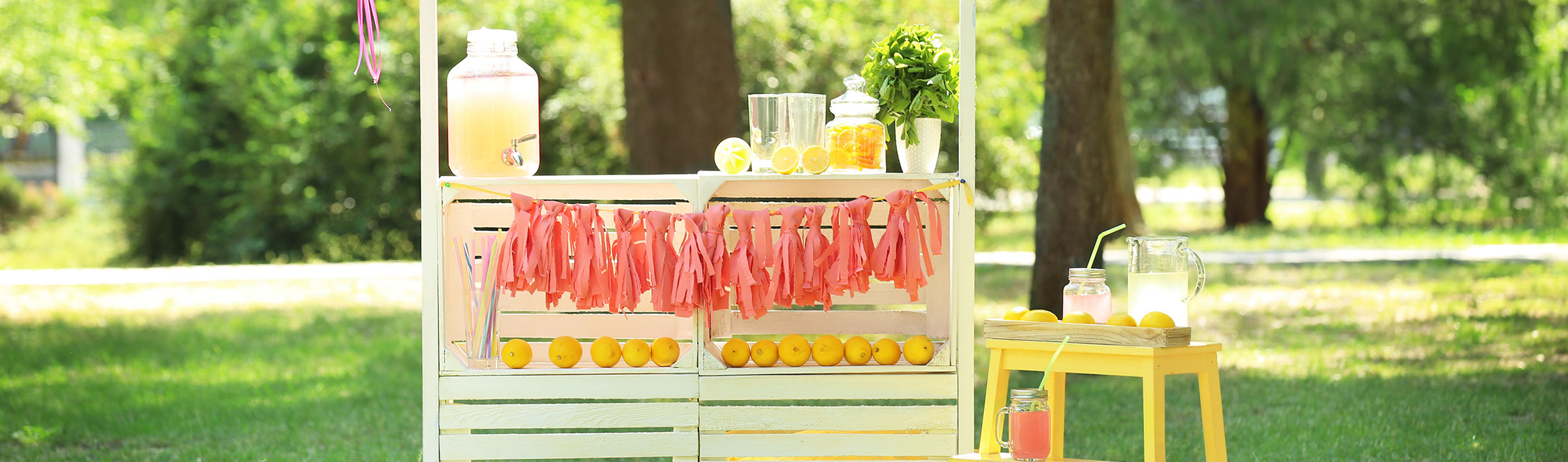 Lessons from a Lemonade Stand - Abeka