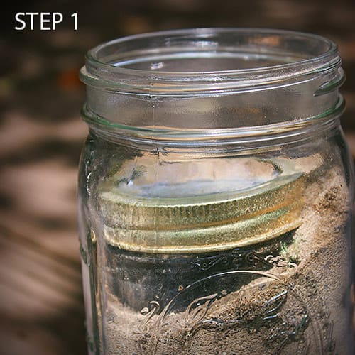 Mason Jar Ant Farm - Abeka