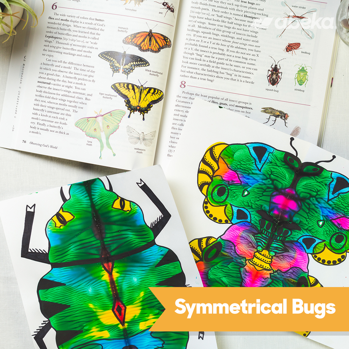 Symmetrical Butterflies/Bug Paintings - Abeka