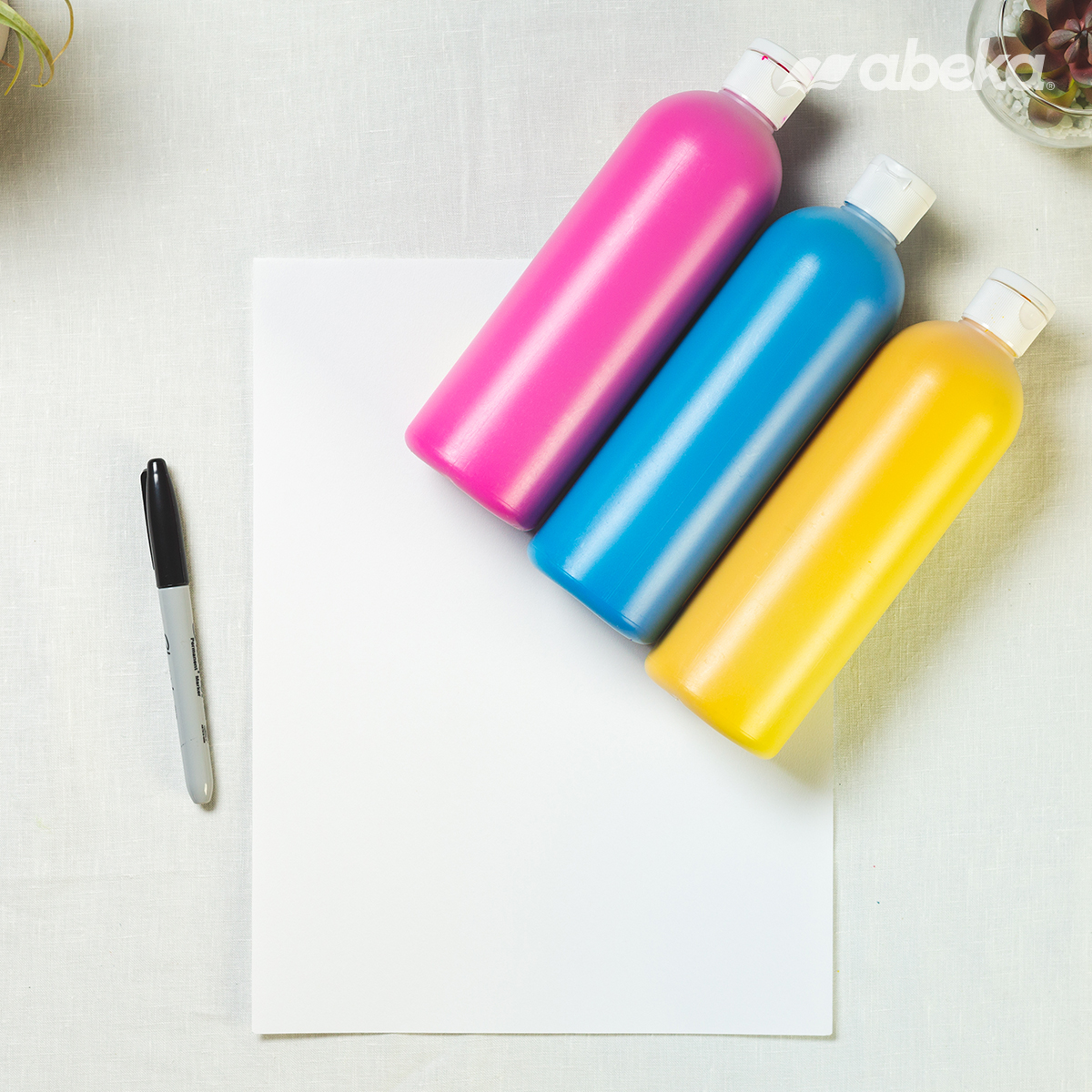 Symmetrical Butterflies/Bug Paintings - Abeka