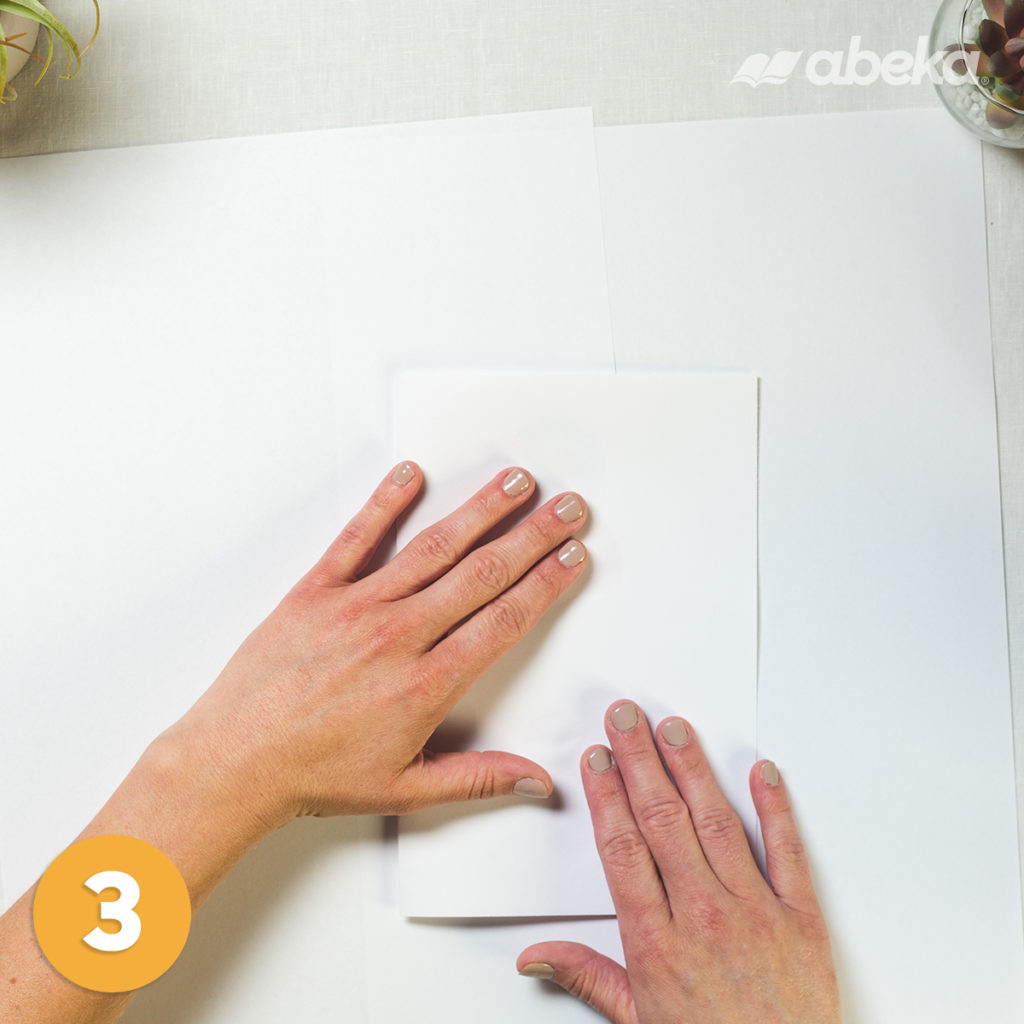 Symmetrical Butterflies/Bug Paintings - Abeka