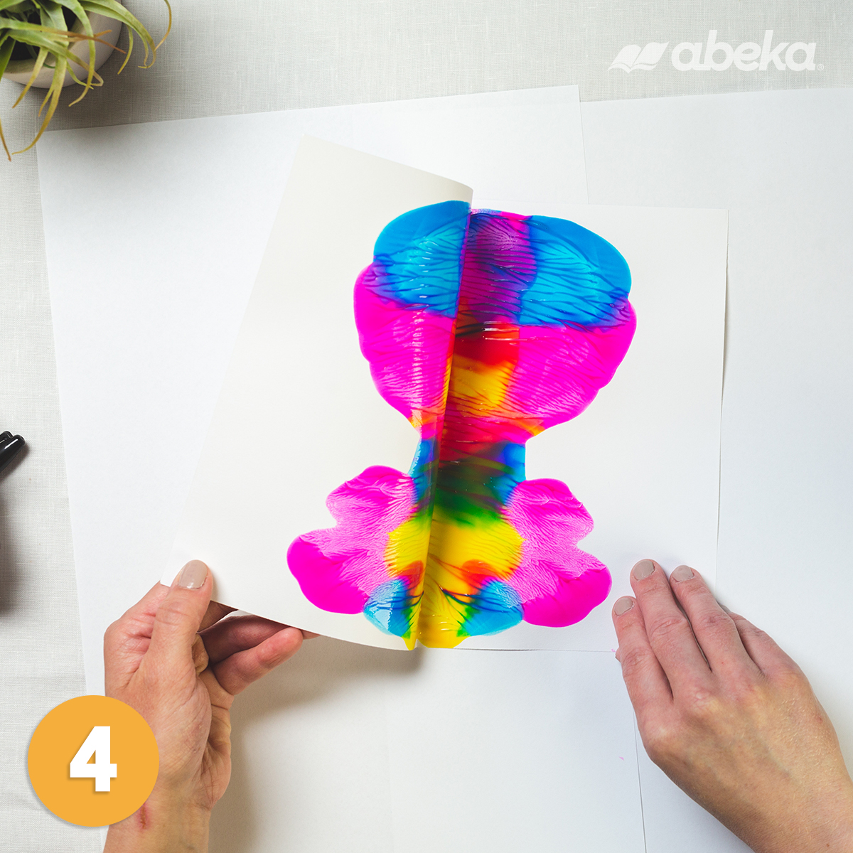 Symmetrical Butterflies/Bug Paintings - Abeka