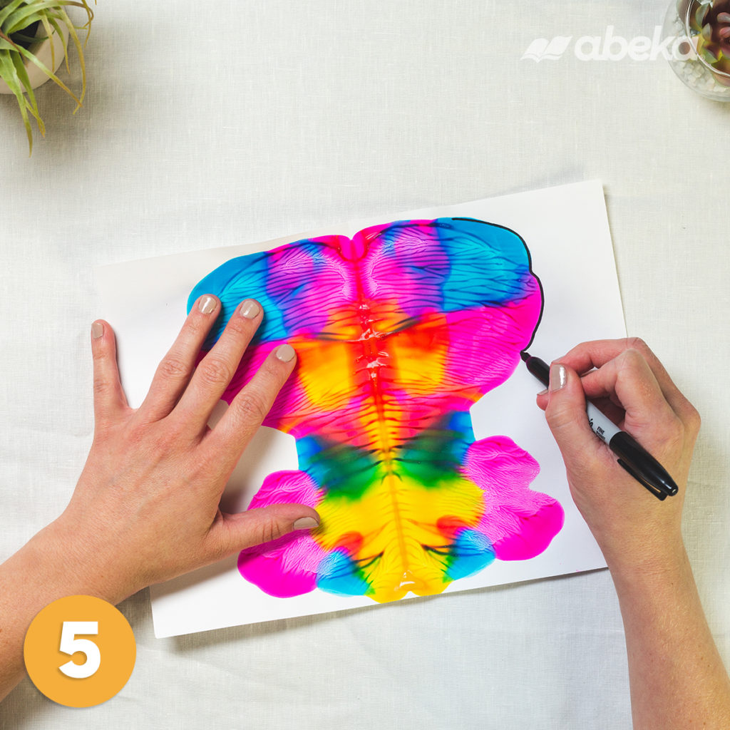 Symmetrical Butterflies/Bug Paintings - Abeka