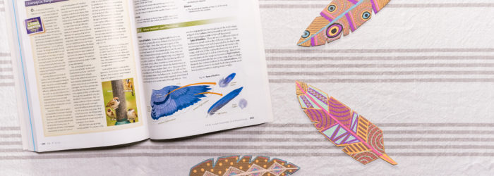 My Abeka Video Blog | A Day In The Life - Abeka