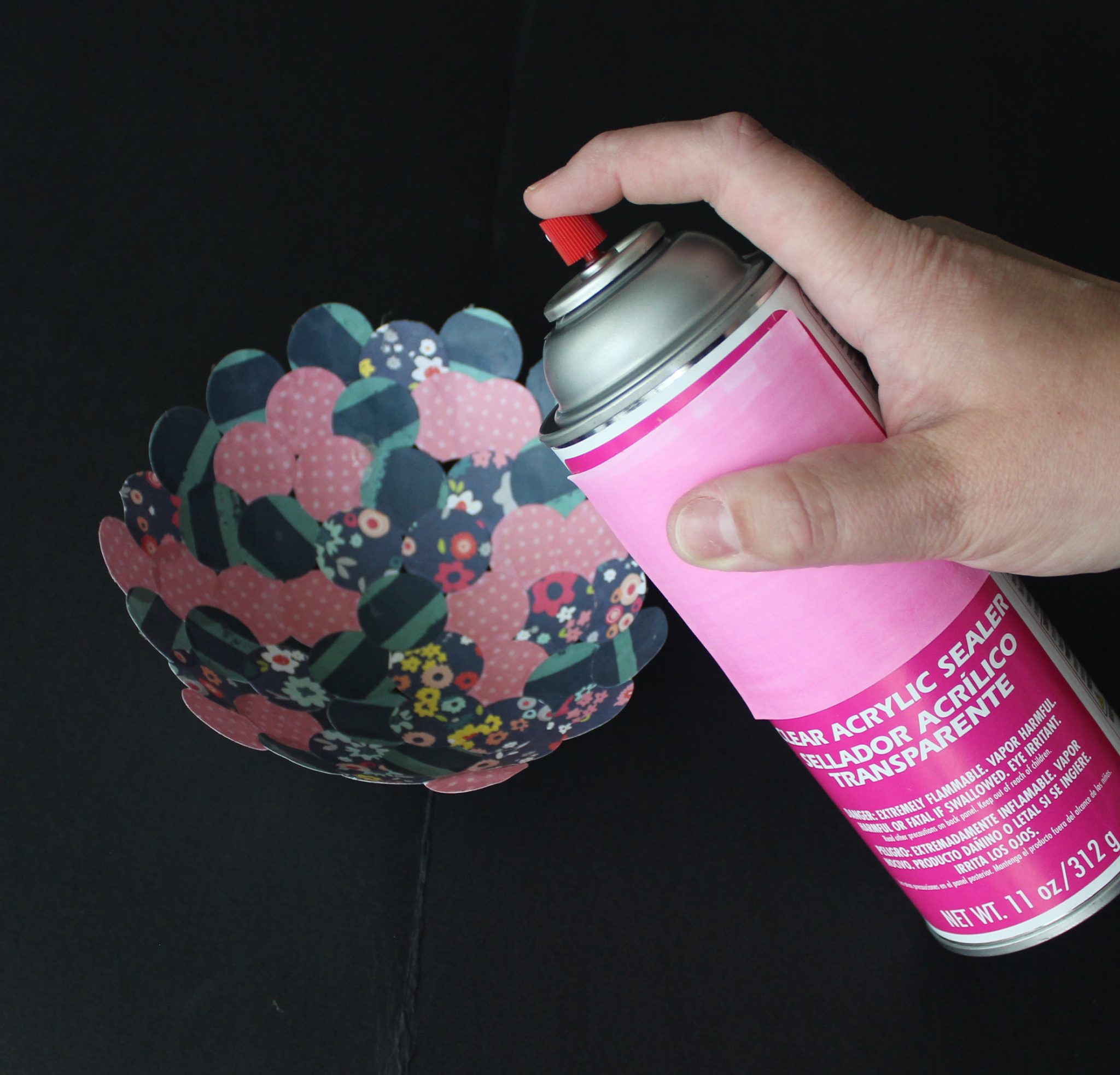 Paper Bowl Craft - Abeka