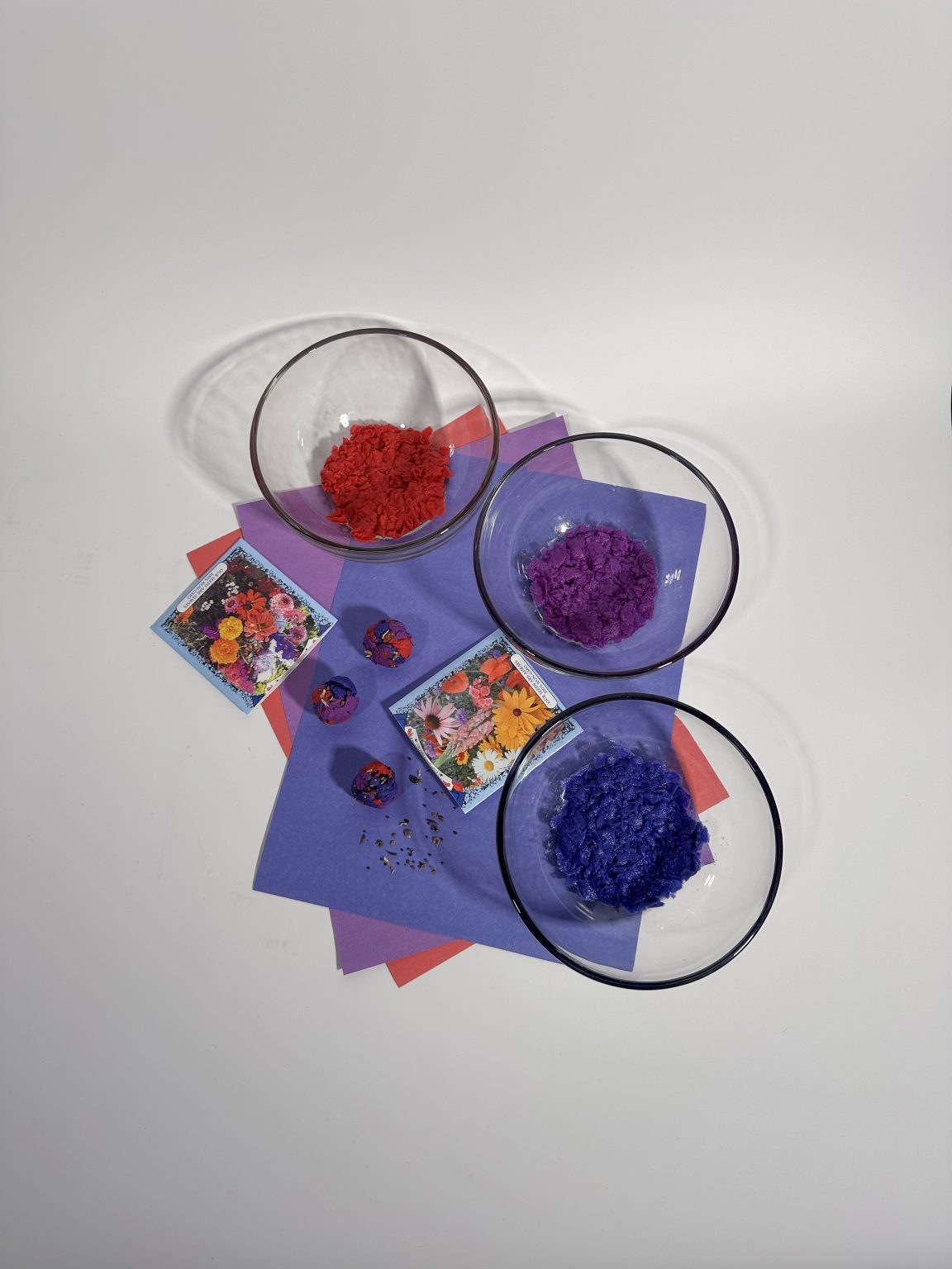 Spring Seed Pod Craft - Abeka