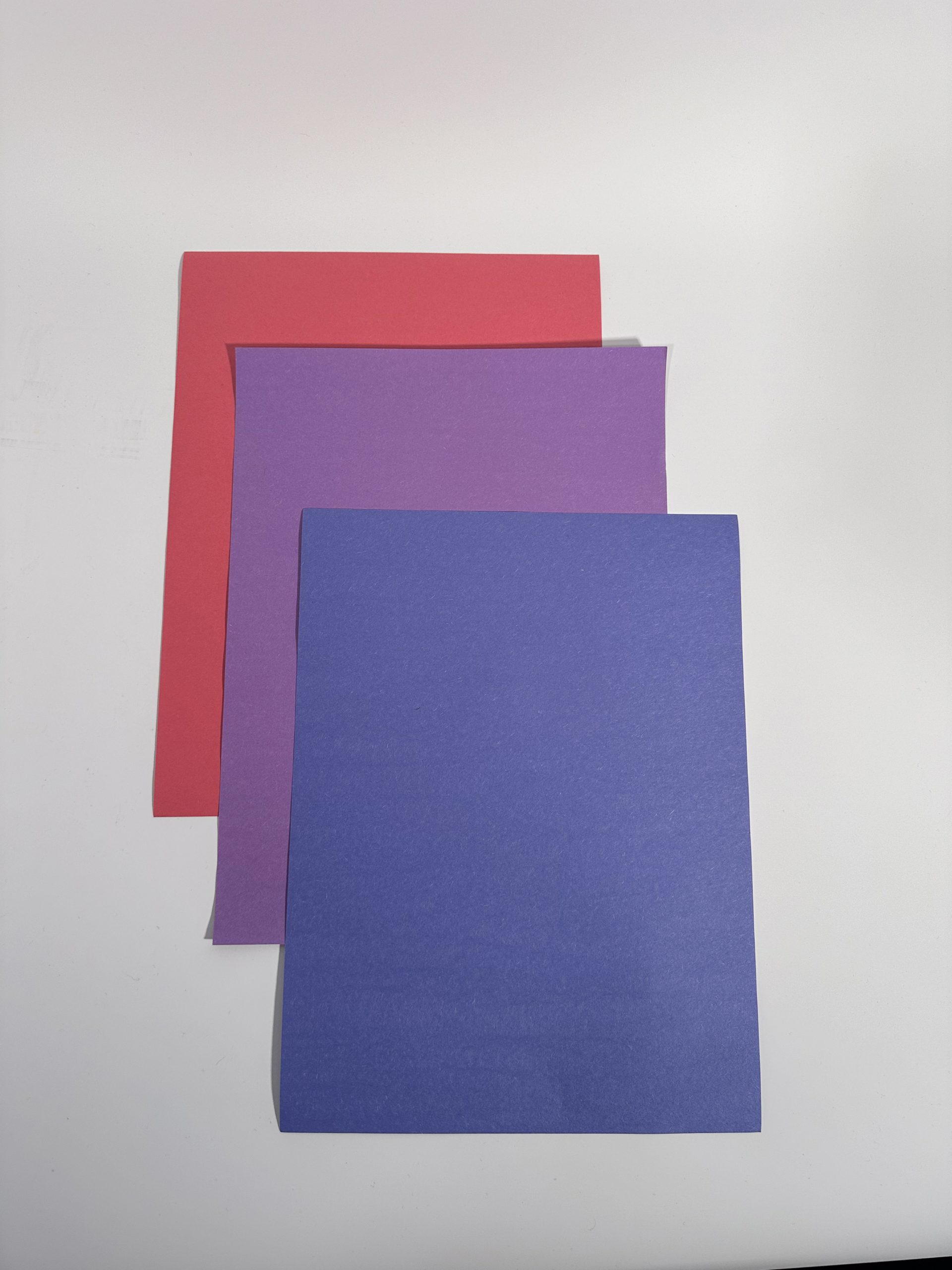 Spring Seed Pod Craft - Abeka