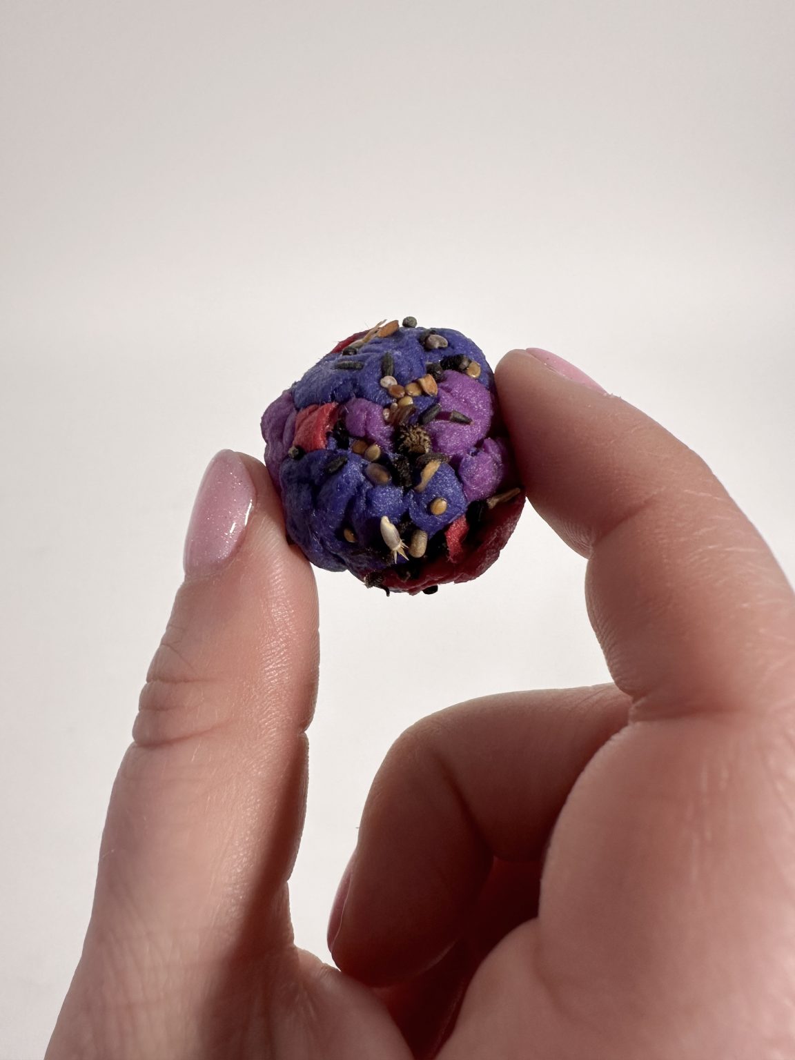 Spring Seed Pod Craft - Abeka