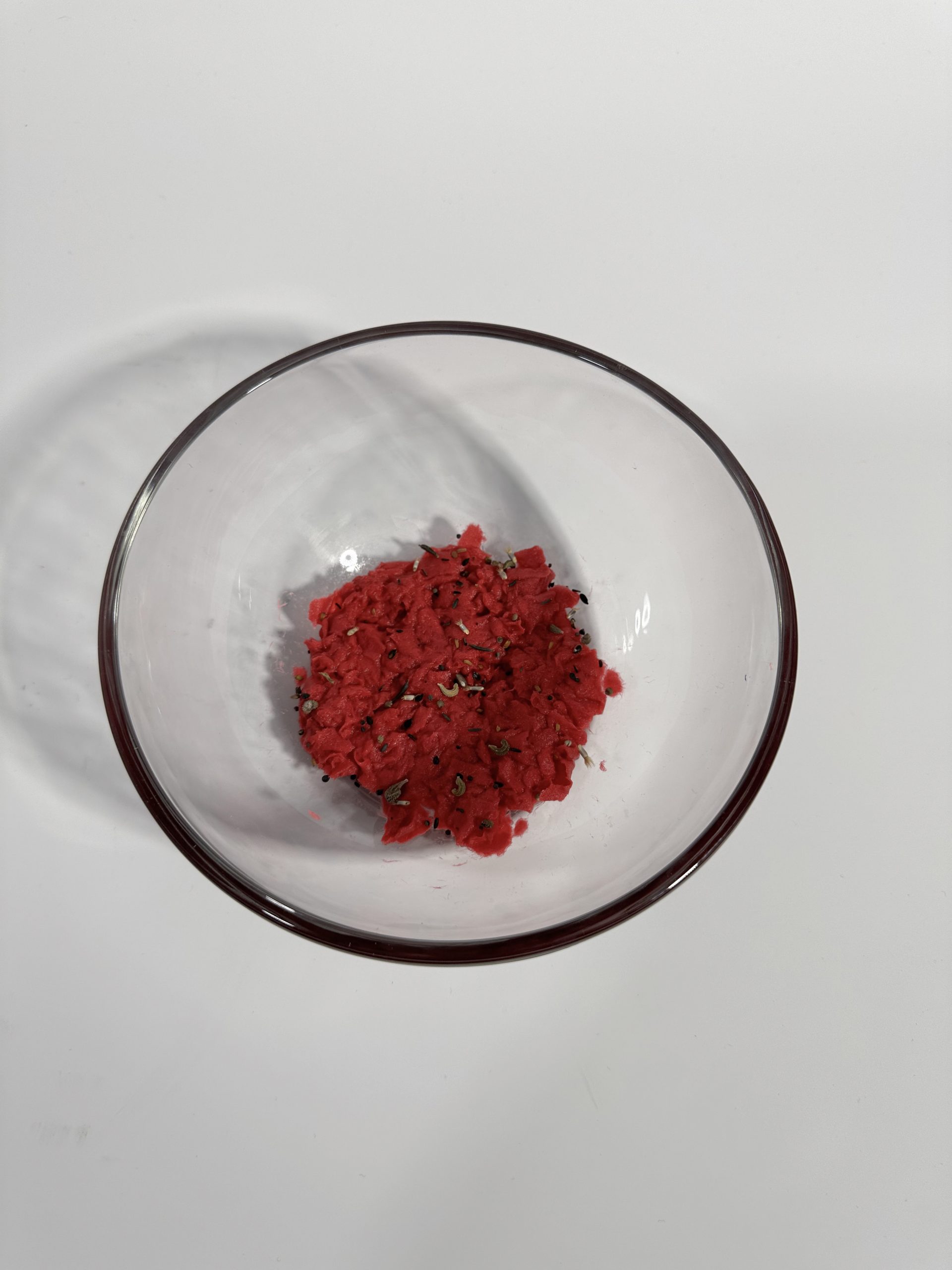 Spring Seed Pod Craft - Abeka