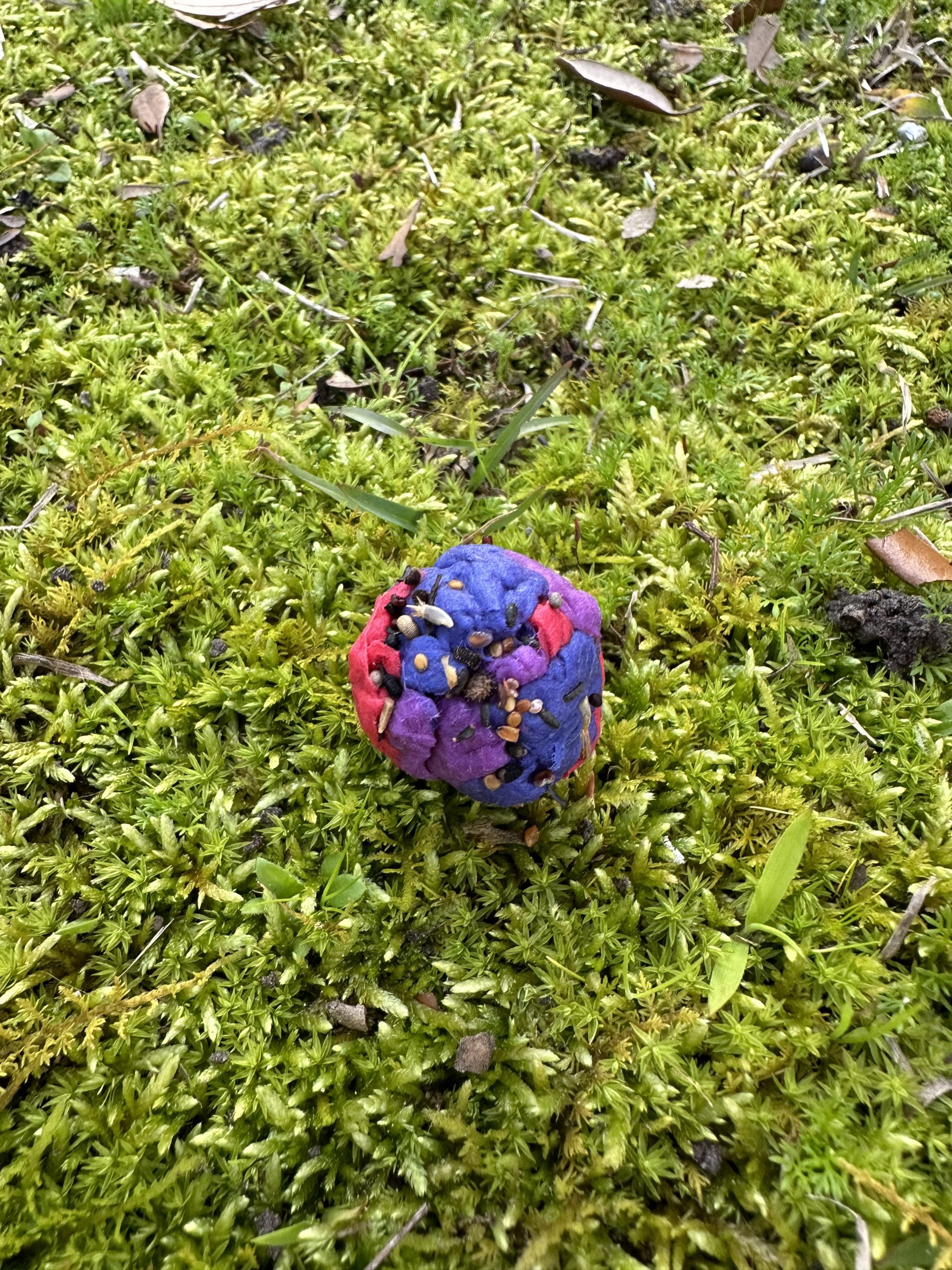 Spring Seed Pod Craft - Abeka